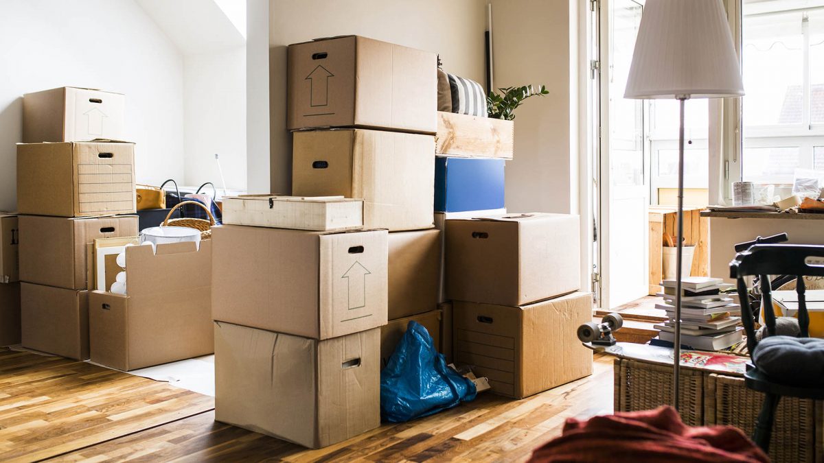 Too Much Clutter? Here’s What You Can Do - Squab Storage